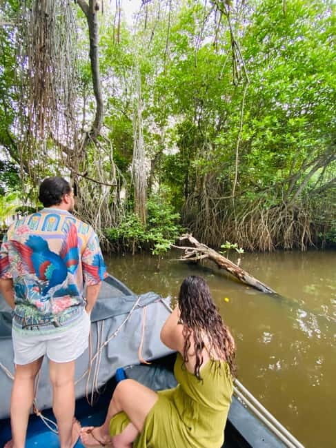 Bentota River Safari: Discover Wildlife & Mangroves by Boat - Authentic Insights from Travelers