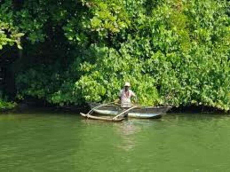 Bentota: River Safari with Hotel Pickup and Drop-Off - Key Points