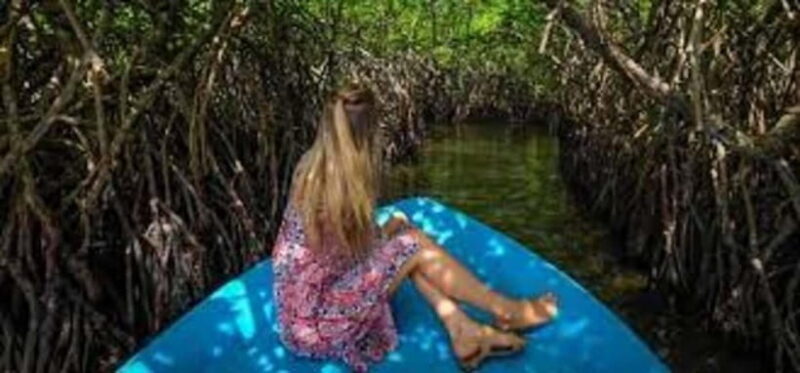 Bentota: River Safari with Hotel Pickup and Drop-Off - Who is This Tour Best For?