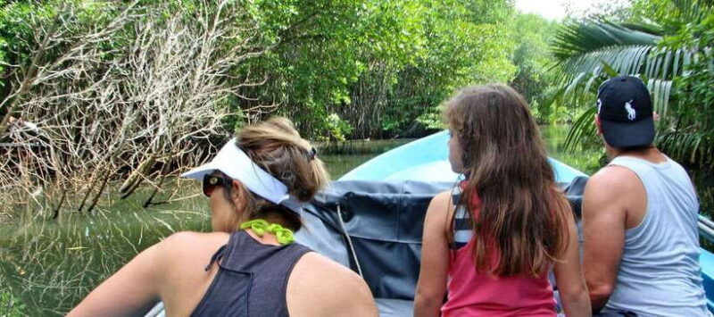 Bentota River Safari with Mangrove and Wildlife Encounter - A Deep Dive into the Experience: The Itinerary and Highlights