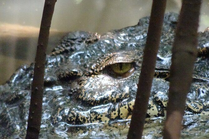 Bentota River Wildlife Boat Safari - Final Thoughts