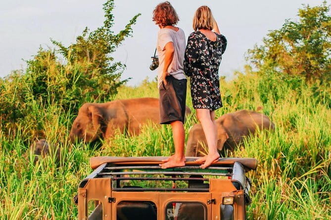Bentota Tuk Tuk Safari - Final Thoughts: Who Should Consider This Tour?