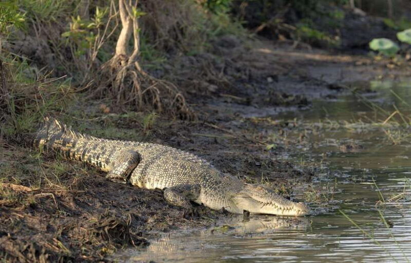 Bentota Village tour, River Safari with Westcoast - Key Points