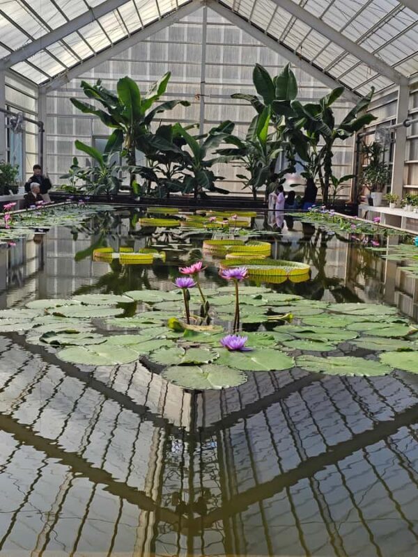 Beppu: Express Hells TourTop 3 Jigoku Highlights - Key Points