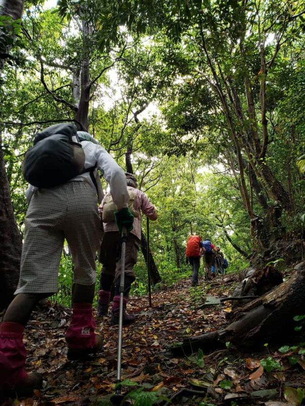Beppu: Himeshima Island Eco-Cart Tour with Onsen - Key Points