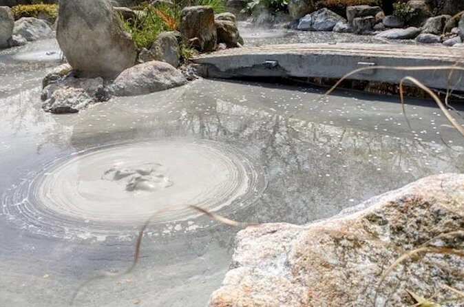 Beppu Oita Private Shore Excursion Hells of Beppu Tour - Practical Insights and Value