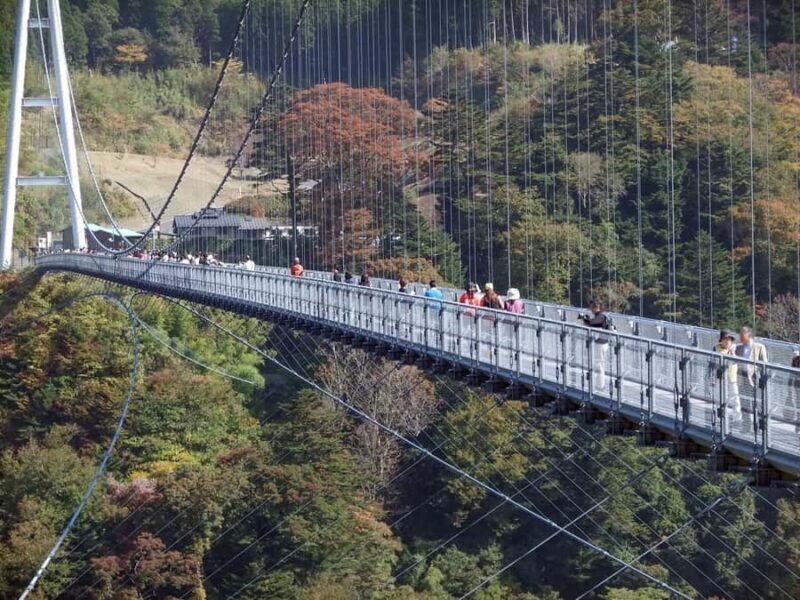 Beppu: Private Shore Excursion Beppu Hells & Sky Bridge - Key Points