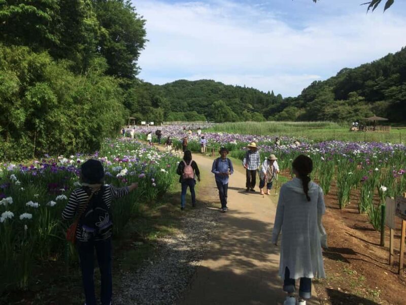 Beppu: Shidaka Lake Nordic Walking and Forest Bathing Tour - Key Points