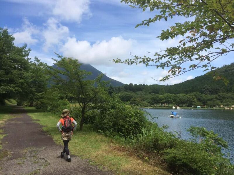Beppu: Shidaka Lake Nordic Walking and Forest Bathing Tour - Practical Details and Value