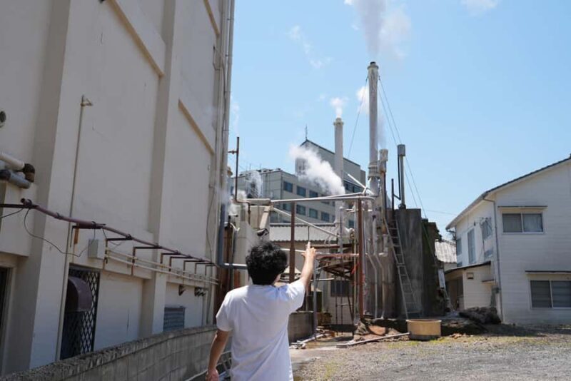Beppu Walking Tour: Hot Springs & Local Culture - Key Points