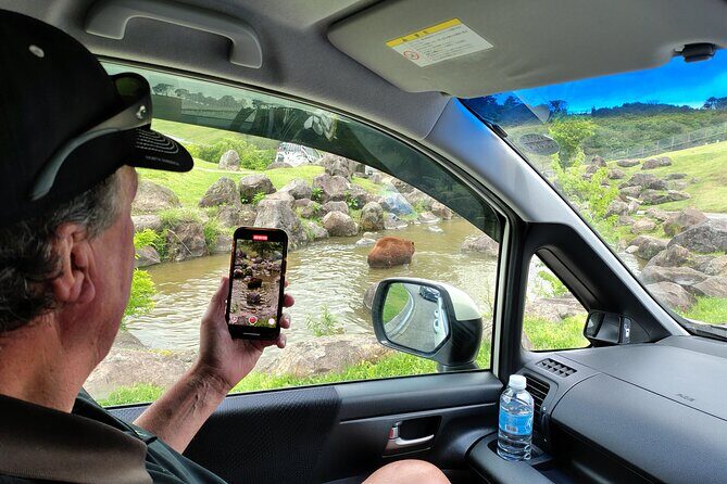 Beppus Best: African Safari and Beppu Hells Private Tour - Authenticity and Local Connection