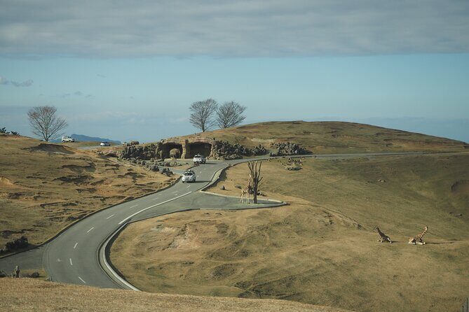 Beppus Best: African Safari and Beppu Hells Private Tour - Key Points