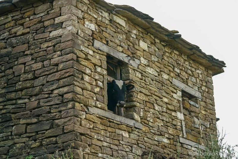 Berat: 3-Day Tomorr Mountain Camping Adventure - Who Will Love This Tour?
