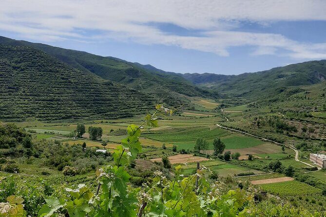 Berat 4x4 Off-Road and Vineyard Wine Tasting - Introduction