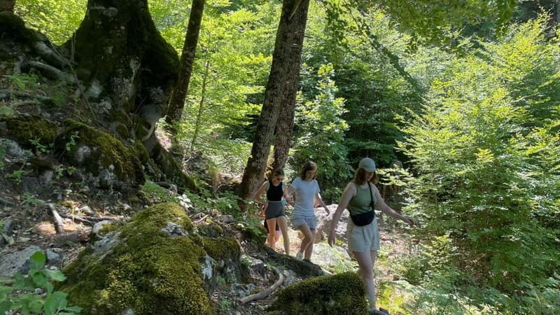 Berat: Tomorr Mountain and Lakes of Dardhë Day Trip - What’s Included and What’s Not