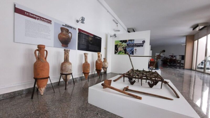 Berchidda: Visit to the Wine Museum with Wine Tasting - Key Points