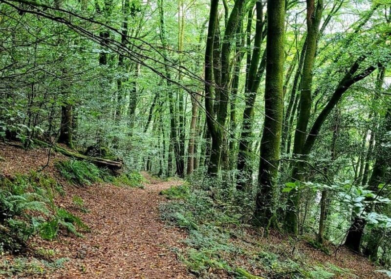 Bere Alston: Guided Walk to Bere Ferrers - Key Points