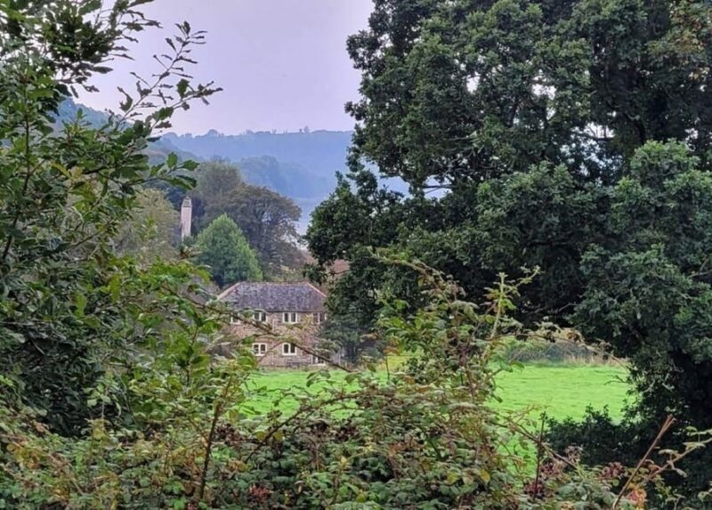 Bere Alston: Guided Walk to Bere Ferrers - An Authentic Walk through Cornwall’s Tamar Valley