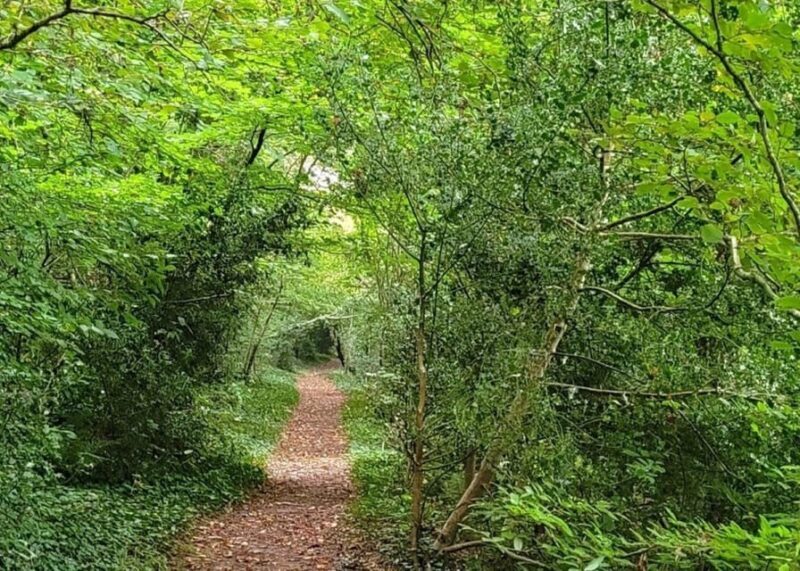 Bere Alston: Guided Walk to Bere Ferrers - FAQ