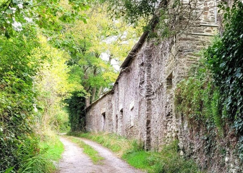 Bere Ferrers: Guided Walk to Tamerton Foliot - Authentic Experiences and Practicalities