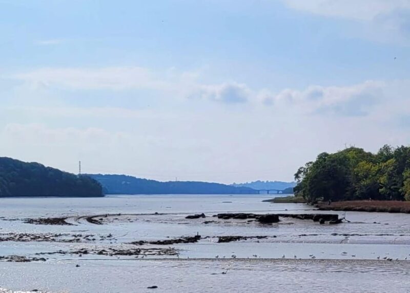 Bere Ferrers: Guided Walk to Tamerton Foliot - Why It’s Worth Considering
