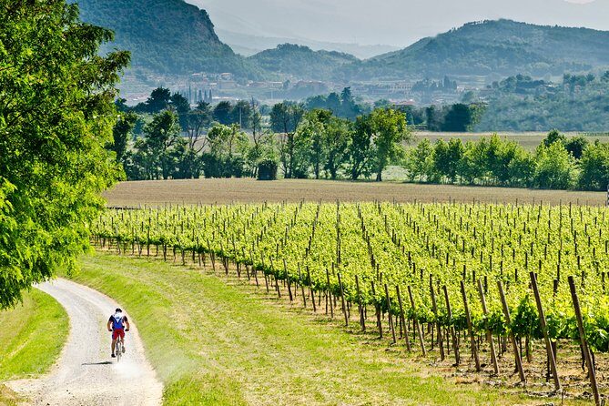 Bergamo and Franciacorta with lunch and cellar visit - A Practical Guide to the Bergamo and Franciacorta Tour