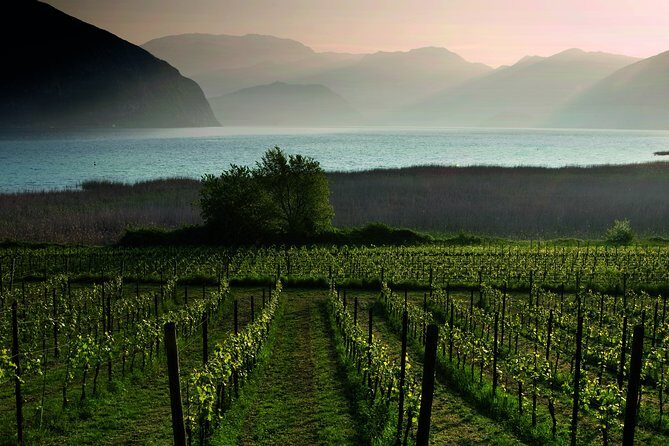Bergamo and Franciacorta with lunch and cellar visit - Practicalities and Value