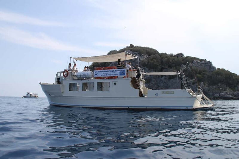 Bergeggi Island: Boat trip with a swimming stop - An In-Depth Look at the Bergeggi Island Experience