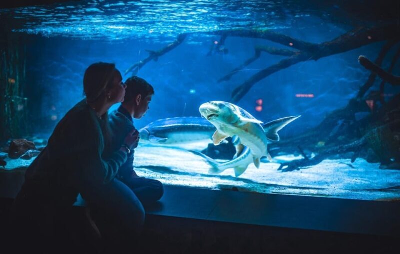 Bergen: Bergen Aquarium Entry Ticket - A Practical Guide to the Bergen Aquarium Experience