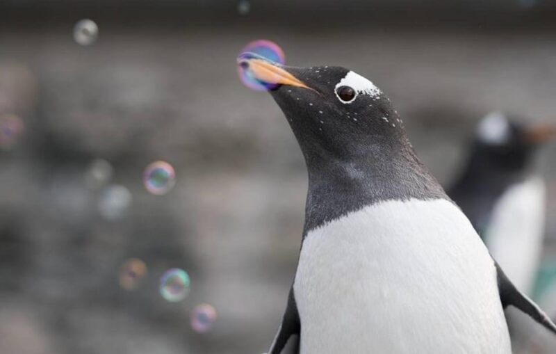 Bergen: Bergen Aquarium Entry Ticket - Who Will Love This Experience?