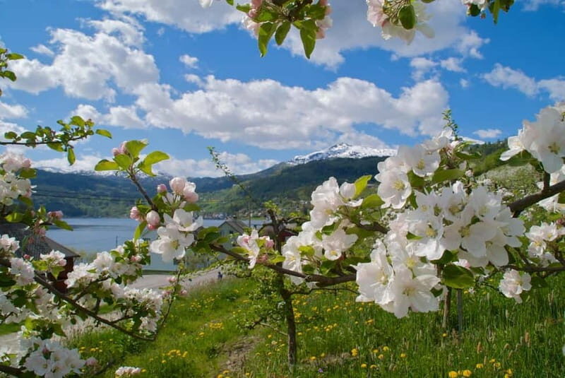 Bergen: Bondhus Glacier Lake in Folgefonna National Park - Real Traveler Feedback: What People Love and What Could Improve