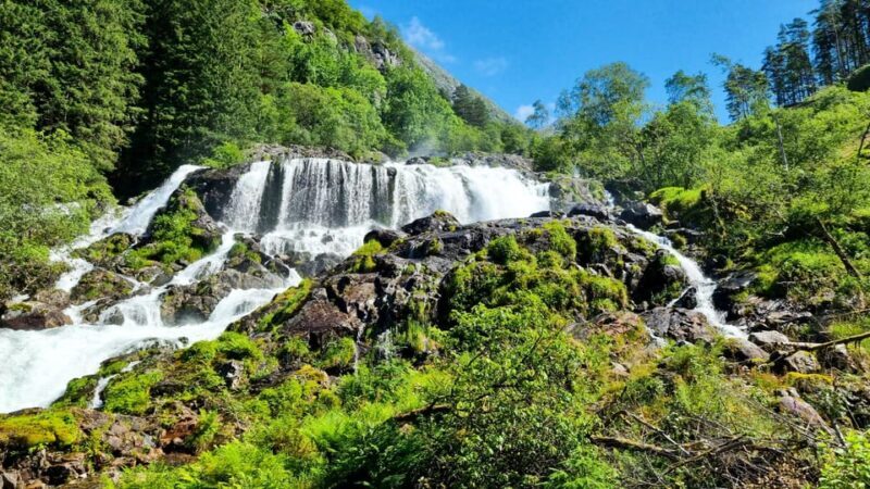 Bergen: Cruise to beautiful Rosendal by the Hardangerfjord - The Itinerary in Depth