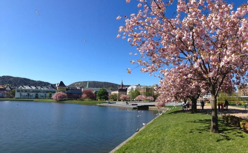 Bergen: Flam Railway, Stegastein View Point and Fjord Cruise - Who Will Love This Tour?