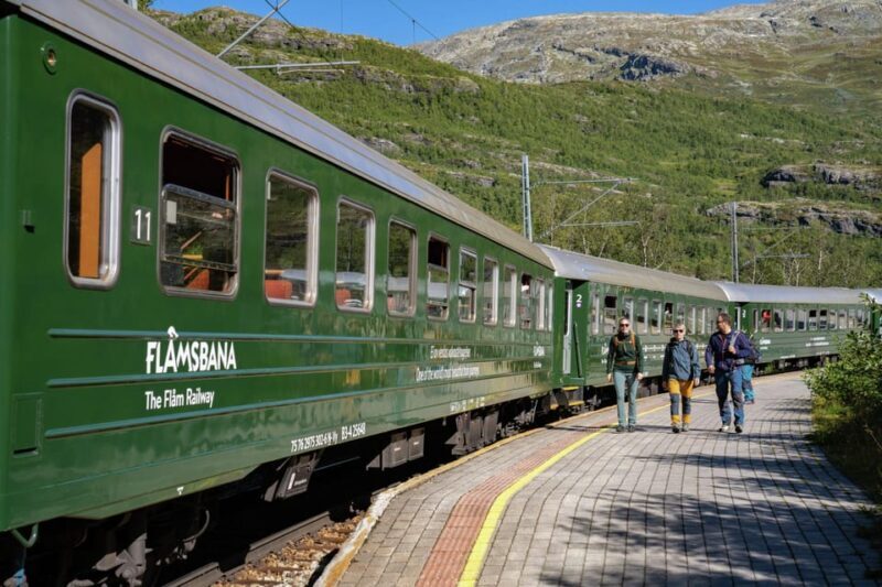 Bergen: Flam Railway, Stegastein View Point and Fjord Cruise - Final Thoughts