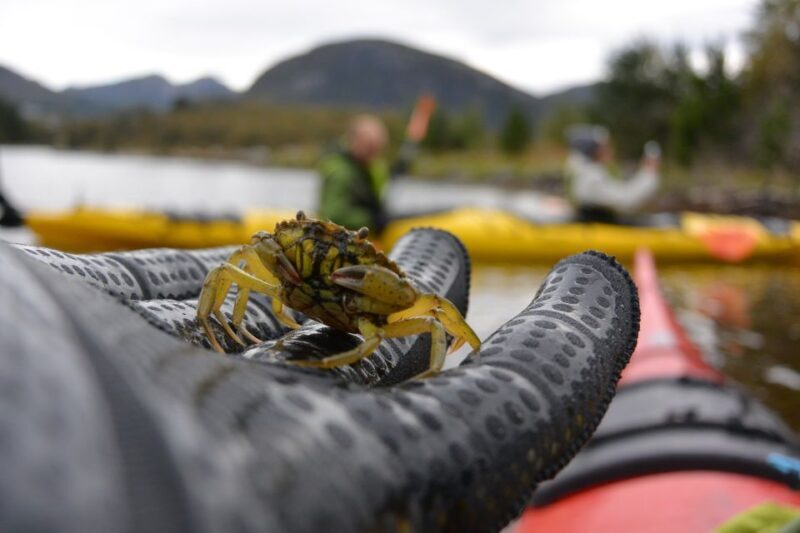 Bergen: Guided Fishing Tour with Outdoor Cooking - Practical Details: What You Need to Know