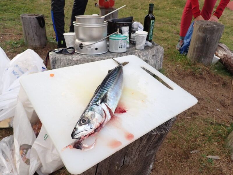 Bergen: Guided Fishing Tour with Outdoor Cooking - The Sum Up