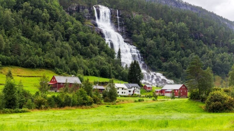 Bergen: Guided Fjord & Glacier Tour to Fjærland - Return Journey