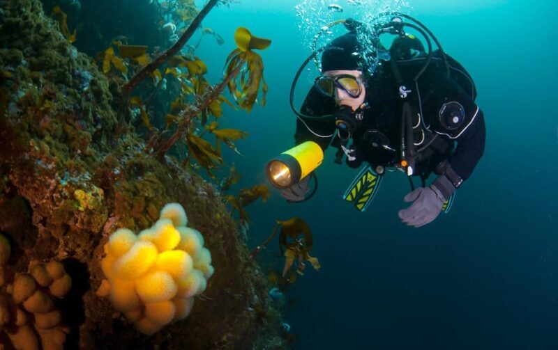 Bergen: Guided Scuba Diving - Key Points