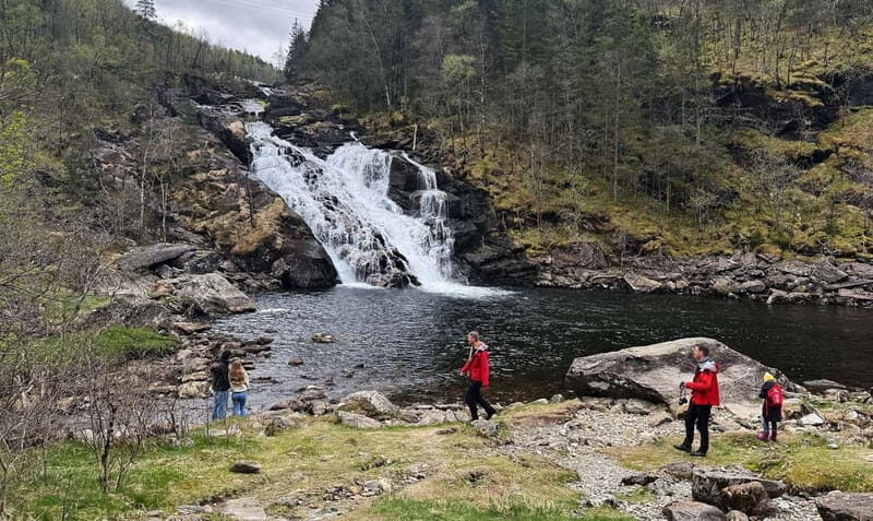 Bergen: Hardangerfjord Waterfall Safari Tour - The Sum Up