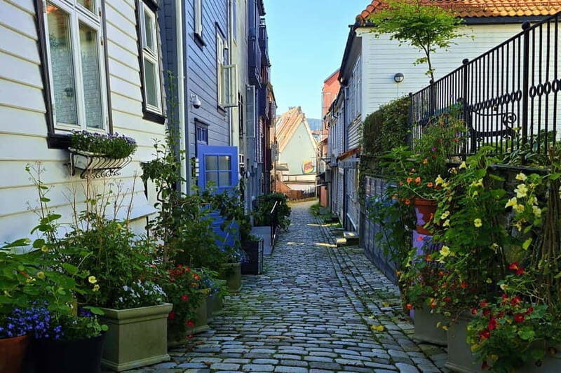 Bergen Like a Local: Culture, Views, and the Stave Church - Walk and Explore: What You’ll Experience