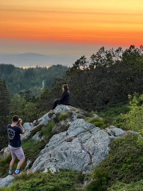 Bergen Magical Nature Tour | ViFlowExperience - The Optional Sauna and Fjord Dip