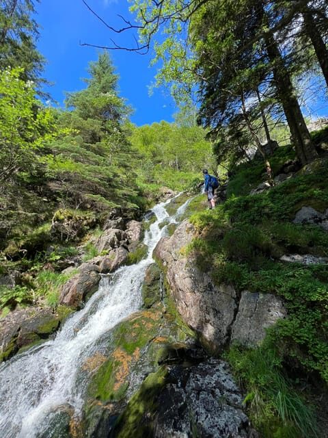 Bergen Magical Nature Tour | ViFlowExperience - Practical Details and Value