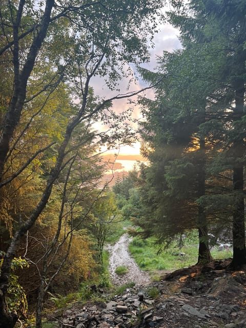 Bergen Magical Nature Tour | ViFlowExperience - Who Will Love This Tour?