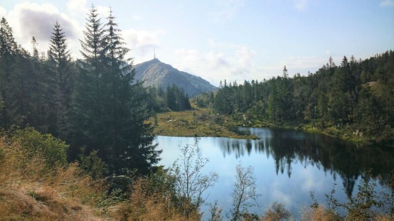 Bergen: Mountain hike on top of Bergen - Public tour - Key Points