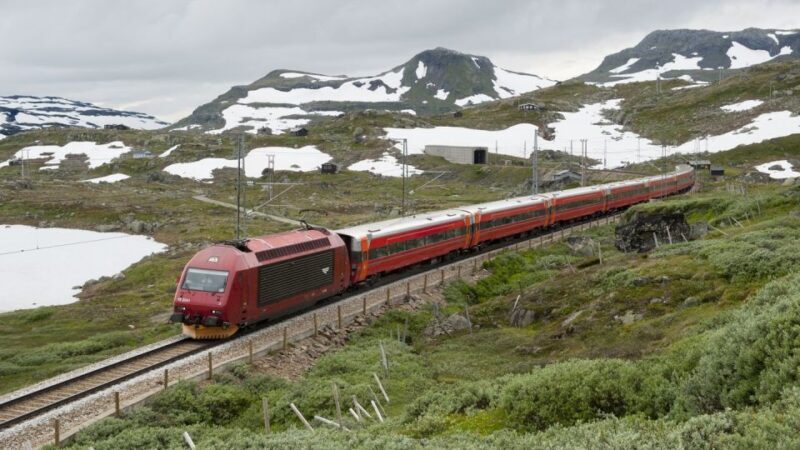Bergen: Nærøyfjord Cruise and Flåm Railway Ride to Oslo - Who Should Consider This Tour?
