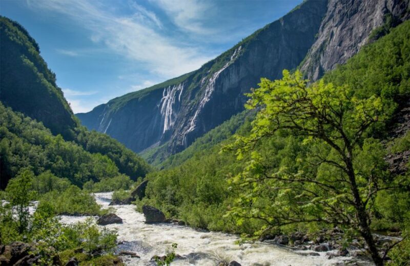 Bergen: Nærøyfjord Cruise and Flåm Railway Ride to Oslo - The Sum Up