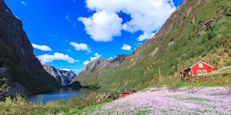 Bergen: Nærøyfjorden, Flåm, and Stegastein Guided Bus Tour - Price and Value