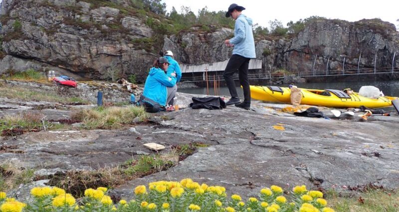 Bergen: Øygarden Islets Guided Kayaking Tour - Why You’ll Love This Tour