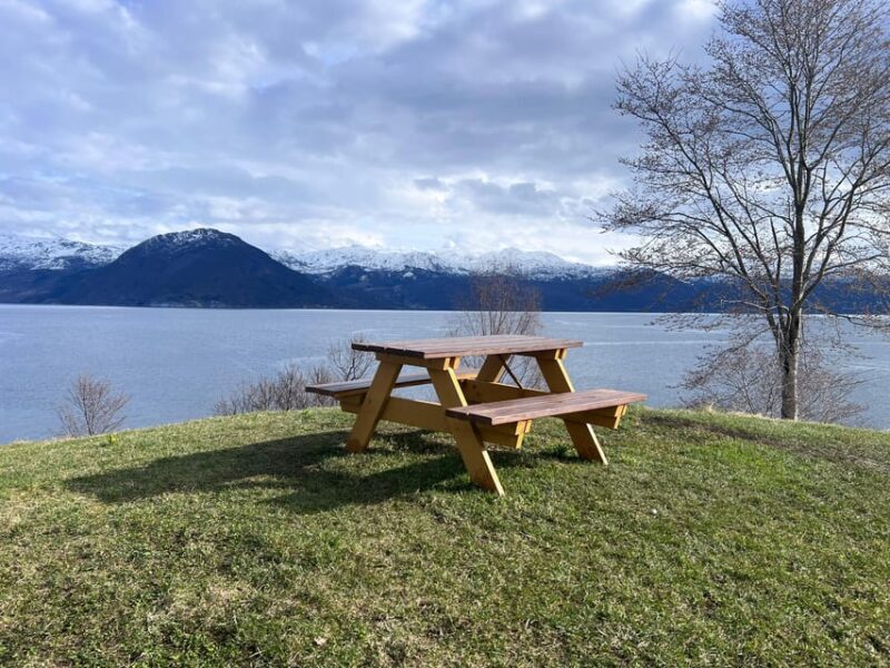 Bergen: Private City Tour with the Best of Hardangerfjord - Who Will Love This Tour?
