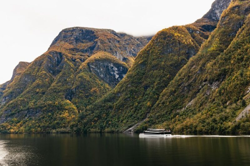 Bergen: Self-Guided Round-Trip Full-Day Excursion - The Practical Side: When, How, and What